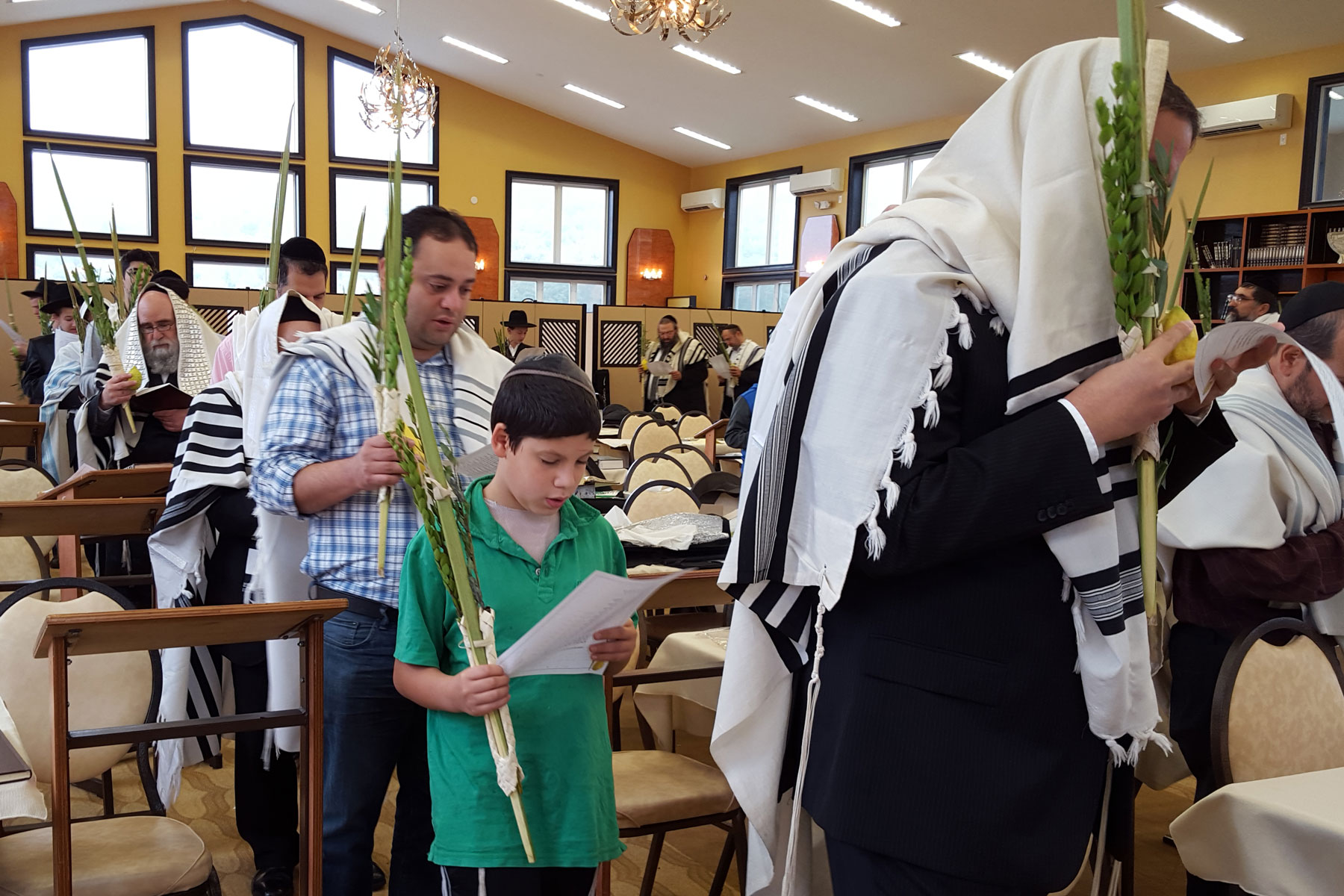 10 Minutes to a Better Sukkos - Jewish Resources