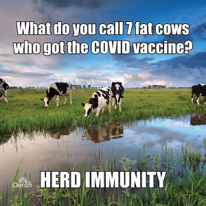 Purim Jokes, Riddles, and Memes - Jewish Resources