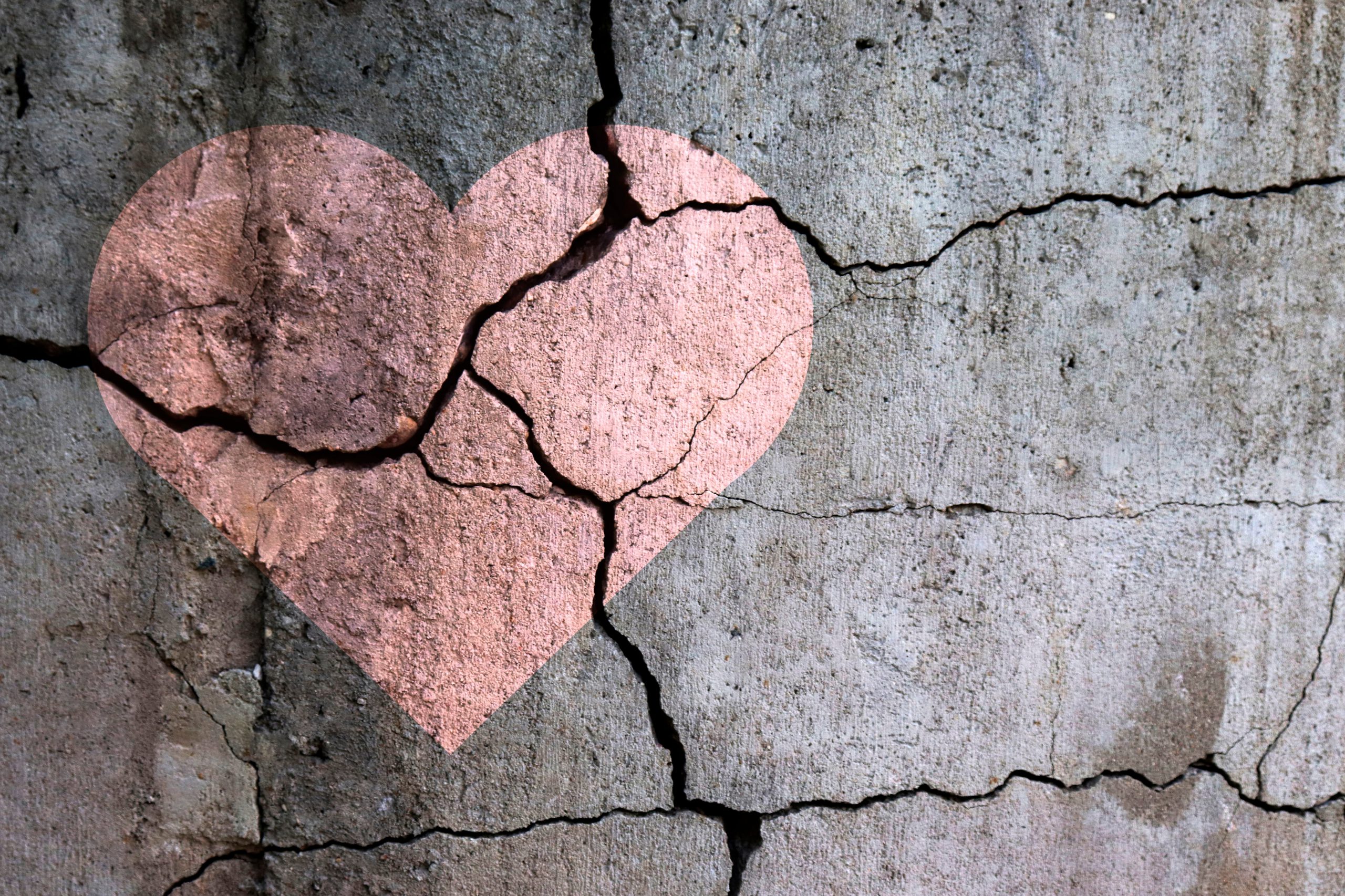 Parshas Korach: The Danger of Hurting Others - Jewish Resources