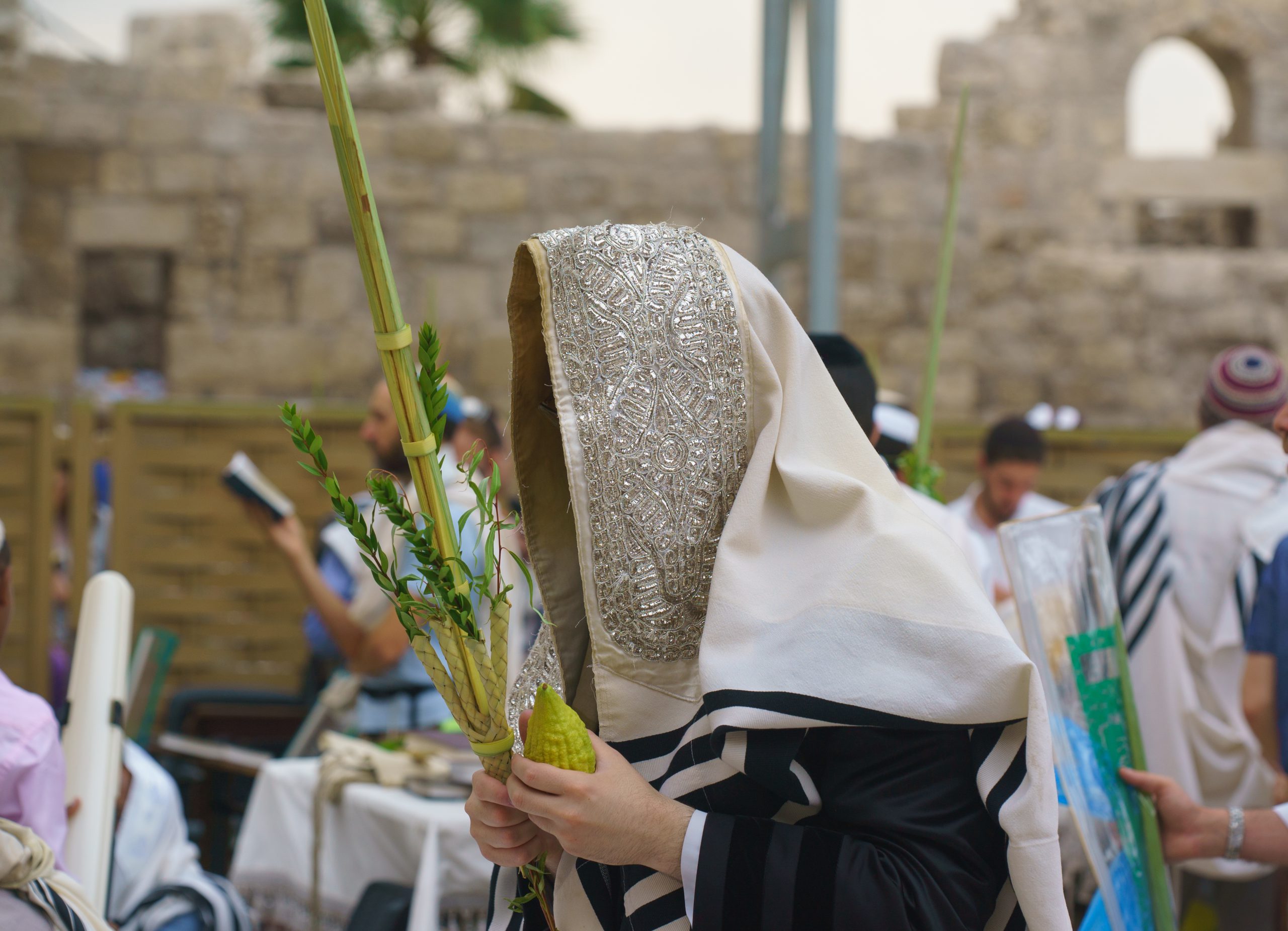 Sukkot: Like a Faithful Stone - Jewish Resources