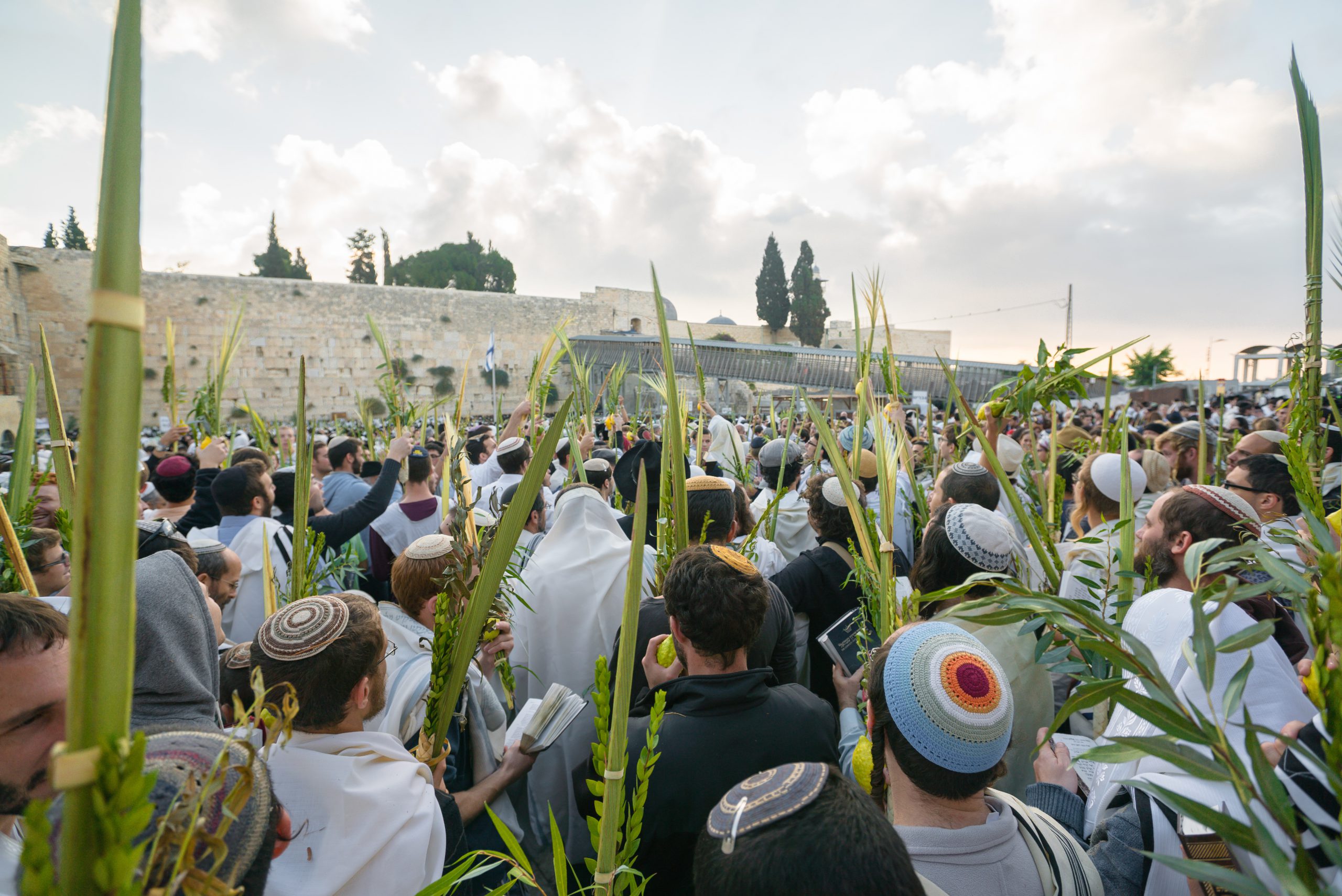 Pesach and Sukkot: The Intermediate Days - Jewish Resources